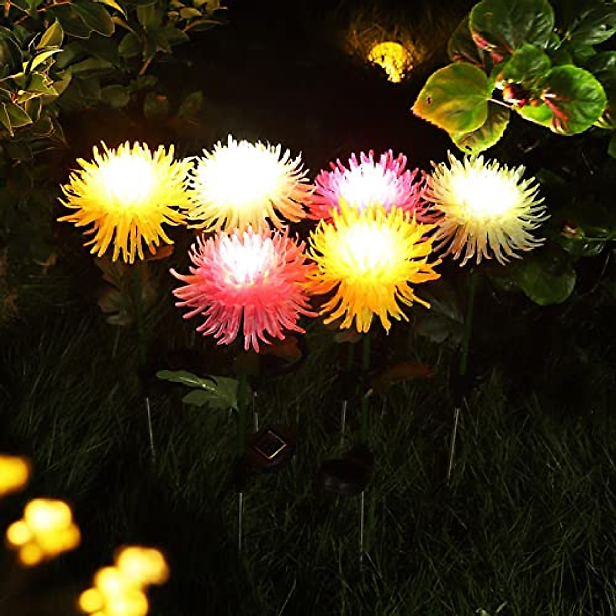 MIWEITOO Solar Flowers Lights Outdoor Decorative, Chrysanthemum Design Landscape Path Lights, Waterproof LED Solar Garden Stake Lights for Patio, Garden, Yard, Lawn, Pathway(White)