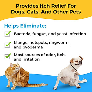 Smiling Paws Pets - Antibacterial & Antifungal Wipe for Dogs & Cats - Contains Ketoconazole & Chlorhexidine - Skin Treatment for Yeast Infection, Ringworm, Pyoderma, Bacteria & Fungus - 50ct (2 Pack)