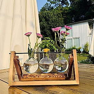 Kingbuy Plant Propagation Stations Terrarium Glass Desktop Planter with Retro Wooden Stand 3 Bulb Vases for Hydroponics Indoor Office Desk Home Decor, Plant Holder Lover Gifts for Women