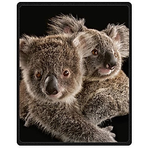 Ormis Custom Cute Koala Bear Unique Bed/Sofa Soft Throw Blanket 58x80inch (Large)