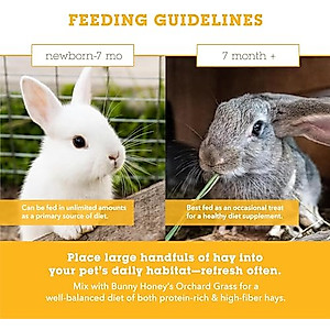 5 Lbs Fresh Alfalfa Hay by Bunny Honey - USDA Organic Natural Hay for Guinea Pigs, Rabbits, Hamsters, Hedgehogs, and More Small Select Animal Pets - 2nd Cut Fresh from Farm (5LB)