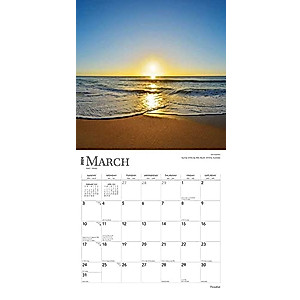 Paradise | 2024 12 x 24 Inch Monthly Square Wall Calendar | BrownTrout | Scenic Travel Nature Beach