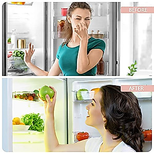 Refrigerator Deodorizer, Perfect for Home, Cars, Office, Tent, Pet Room