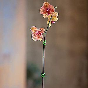 Nite Ize GT3-4PK-A1 Original Gear, Reusable Rubber Twist Tie, Made in The USA, 3-Inch, 3" - 4-Pack, Colors May Vary, 4 Count