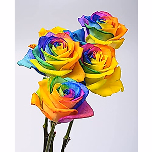 200pcs Rainbow Color Rose Seeds for Planting, Hybrid Rare Rose, Perennial Shrub