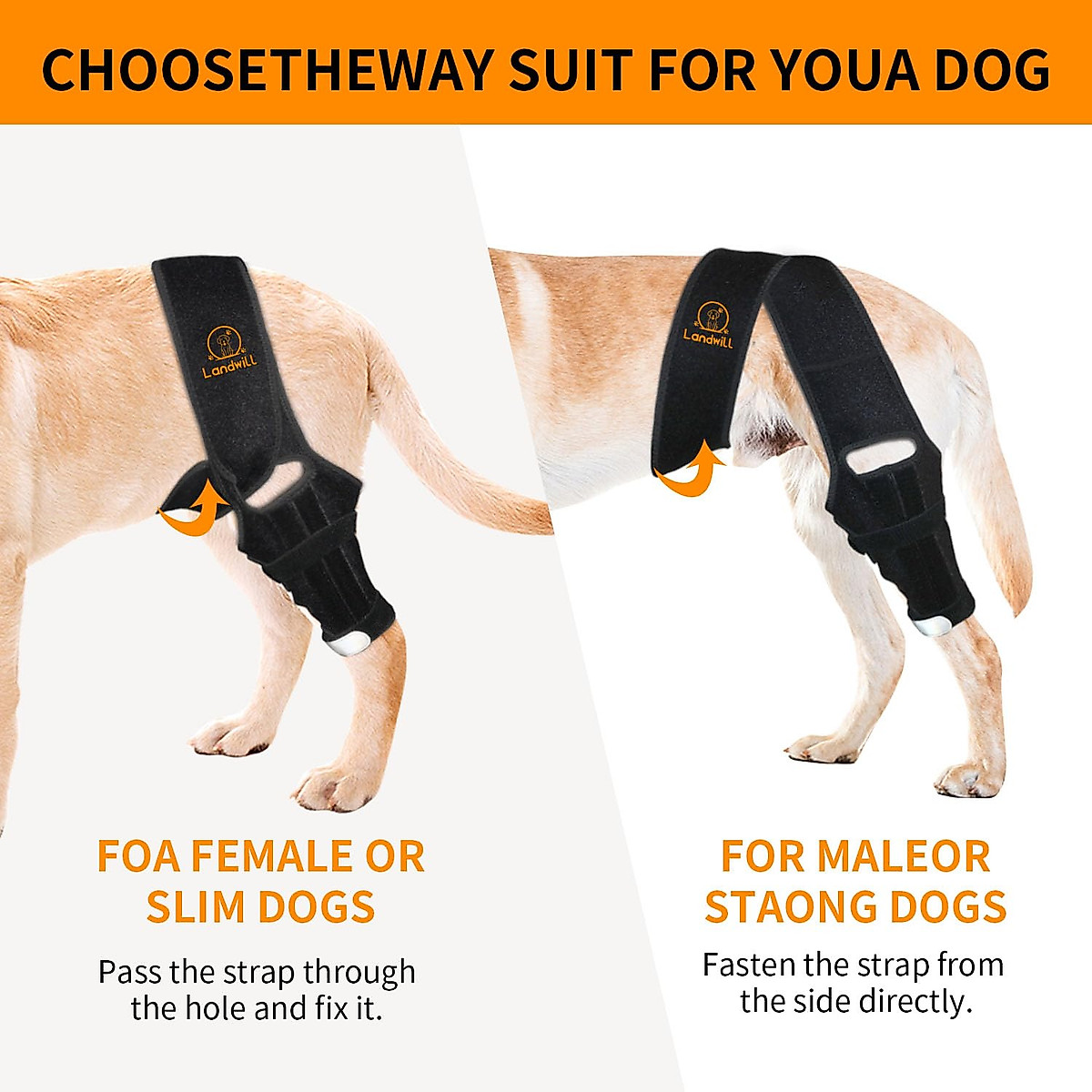 Landwill Dog Knee Brace for Cruciate Ligament Injury Joint Pain Muscle Soreness. Adjustable Dog Leg Brace, Dog Support Brace,Dog Hind Leg Support.(Black L)