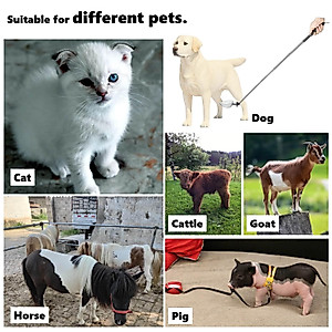 iNenya Dog Urine Sample Catcher，Telescopic Dog Pee Sample Collector，Pet Urine Stick for Small Large Female Dogs (Grayspoon&4bottles)