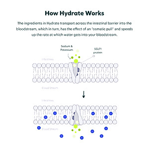 Cheers Classic Combo | Restore + Hydrate | Rehydrate & Feel Better After Drinking | DHM, L-Cysteine, B-Vitamins, Electrolytes | 12 Doses Each | Liver Support | Electrolyte Supplements