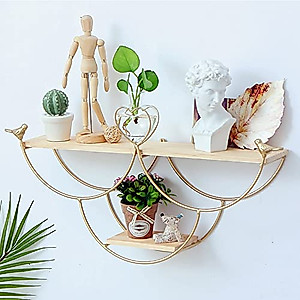 FWHK Room Decor, Wall Shelf with Lights for Home Decoration, Gold (Semicircular Butterfly Combination)