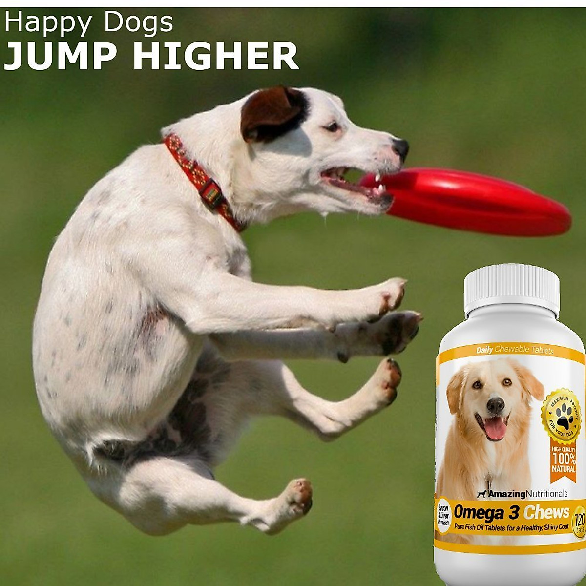 Amazing Combo Omega-3 Fish Oil and Turmeric Curcumin for Dogs - Pure All-Natural Pet Antioxidant - Promotes Shiny Coat, Brain Health, Eliminates Joint Pain, 120 Tasty Chews x 2