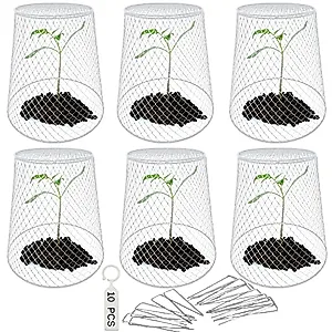 RE GOODS Chicken Wire Plant Cover – 6 Garden Cloche Baskets, Cage Protectors from Animals and Rabbits, Includes 18 Garden Stakes and 10 Waterproof Labels (White)