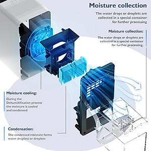 Dehumidifier for Home,Kiumo 40 OZ Small Dehumidifiers for Room, Quiet with Auto Shut Off, Portable Dehumidifiers for Bedroom (350 sq. ft), Bathroom, RV, Closet