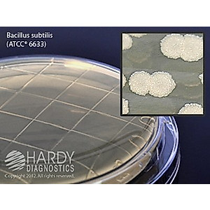 Prepared Rodac and Contact Plates for Critical Environments (10 plates per pack)