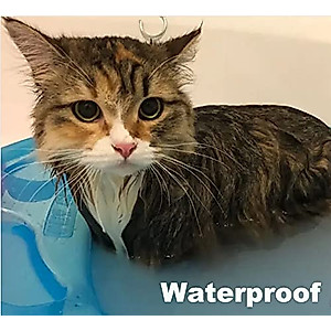 Natural & Safe Flea and Tick Collar for Cats, 2 * 8 Months Protection, Free Comb and Tick Removal Tool, Waterproof, 13.8 inch, One Size Fits All (2-Pack)