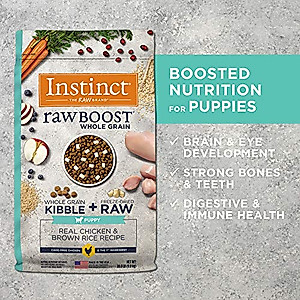 Instinct Raw Boost Puppy Whole Grain Real Chicken & Brown Rice Recipe Natural Dry Dog Food, 4.5 lb. Bag