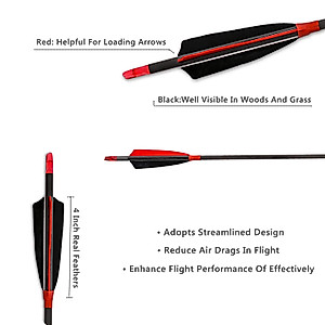 Letszhu Carbon Archery Arrows 500 Spine with Real Feathers for Compound Recurve Bow (12 Pack) (31 Inch Arrows)