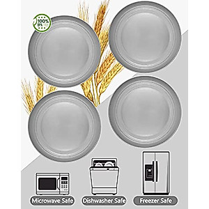 KITWILD Wheat Straw Plates, Unbreakable Dinner Plates, Lightweight Plastic Plates Reusable Plates Set, BPA free, Dishwasher & Microwave Safe, Perfect for Dinner Dishes (4 Pack, Gray)