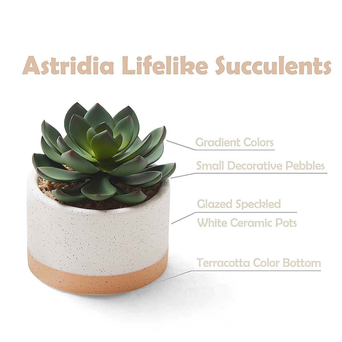 ASTRIDIA Artificial Succulent Plants in Ceramic Pots, Faux Assorted Succulents Fake Cactus Plants for Home Decor, Bedroom, Office, Desk, Living Room, Set of 3…