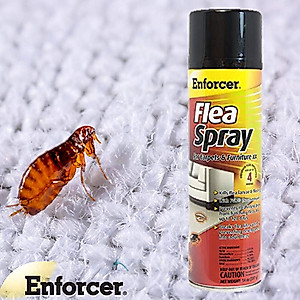 Enforcer Flea Spray for Carpets & Furniture - 14 oz (Case of 12) ENFS14 - Kills Fleas, Ticks & Carpet Beetles