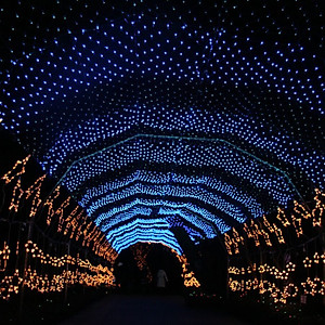 CREAMOON Christmas Net Lights Outdoor Rainproof Net Light with 8 Lighting Modes Hanging String Mesh Lights for Christmas Trees, Wedding, Garden, Party Outdoor Decorations(US Plug)