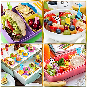 Piklodo 80Pcs Slicone Lunch Box Dividers, 60Pcs Silicone Dividers and 20Pcs Fruit Food Picks, Reusable Lunch Box Divider Inserts Multicolor Silicone Cupcake Liners Lunch Accessories