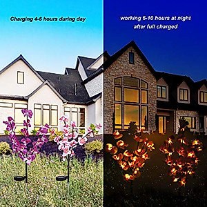 Asixxsix Solar Pathway Light, 2Pcs/Set Elegant LED Garden Light, Delicate for Wedding Festival Decor Outdoor Home Garden Courtyard Lawn Decoration