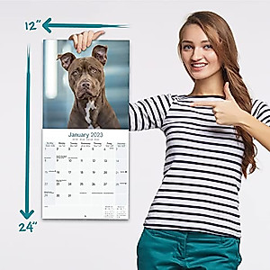 American Pit Bull Terrier Calendar - Dog Breed Calendars - 2022 - 2023 wall calendars - 16 Month by Avonside