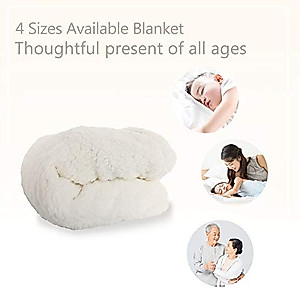 Sleepwish Butterfly Throw Blanket Butterfly Fleece Blankets and Throws for Kids Girls Adults Women Vintage Butterflies Plush Blankets Soft Fuzzy Novelty Sherpa Blanket Butterfly Gifts (50 x 60 Inch)