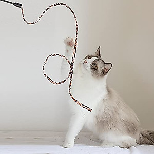 Molain Cat Wand Rainbow Toy, 5pcs Rainbow Ribbon Wand for Kittens Training Rainbow Ribbon Interactive Catcher Wand Stick Toy for Kitten Cat Indoor Exerciser Playing(30cm, Leopard Print)