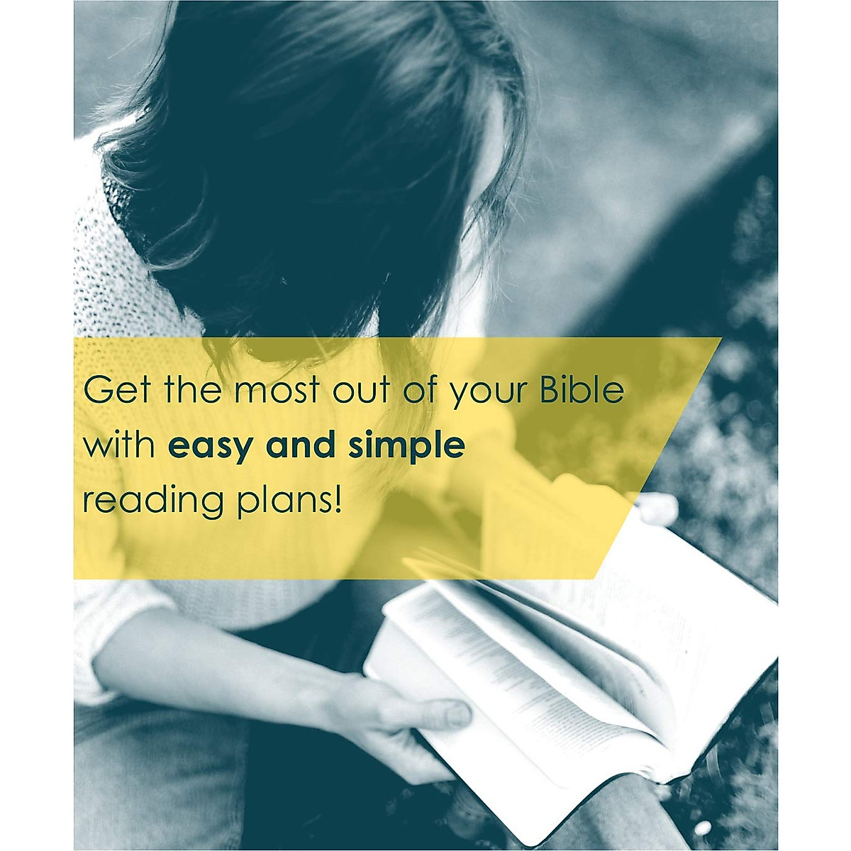 New Believer's Bible NLT (Softcover): First Steps for New Christians