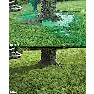 Hydro Mousse Bermuda Grass Seed - Large Refill Bag - Covers up to 1000 Square Feet