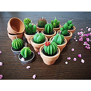 Succulent Candles, Novelty Cactus Tealight Candle Baby Shower Candle Decorations for Party Favors Terrarium Cacti candels Home Decor…