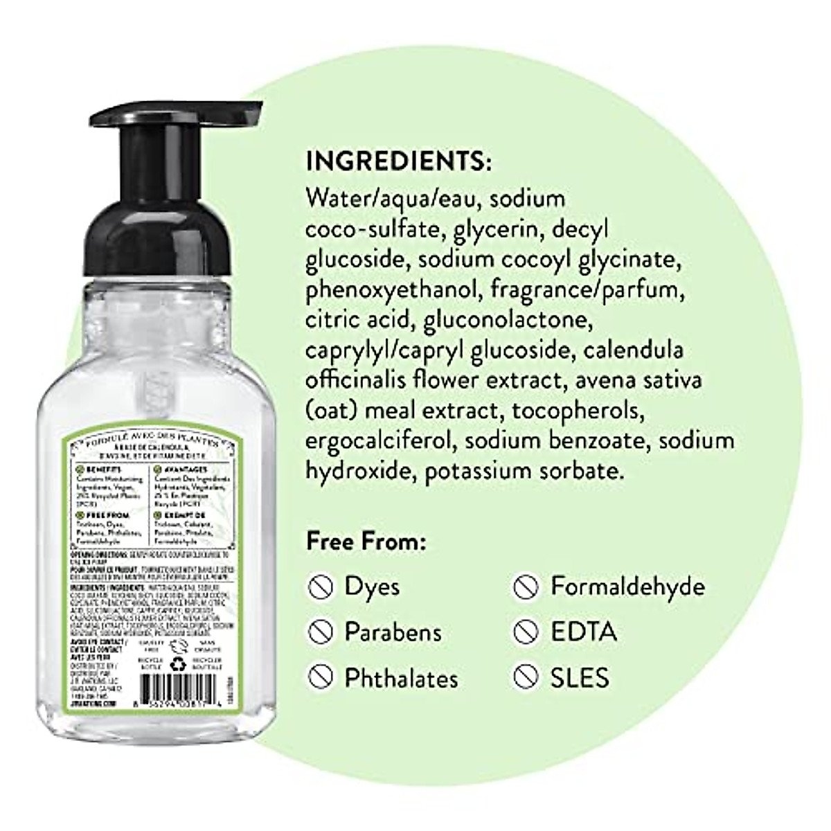 J.R. Watkins Foaming Hand Soap Pump with Dispenser, Moisturizing All Natural Hand Soap Foam, Alcohol-Free, Cruelty-Free, USA Made, Use as Kitchen or Bathroom Soap, Aloe & Green Tea, 9 fl oz, 6 Pack