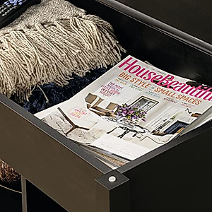 Sauder Edge Water Lift Top Coffee Table, Estate Black finish