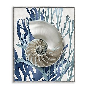 Stupell Industries Shell Coral Beach Blue Design, Design by Caroline Kelly
