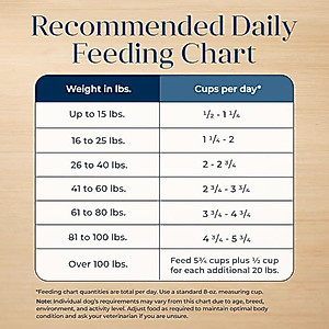 Blue Buffalo Basics Grain-Free Senior Dry Dog Food, Skin & Stomach Care, Limited Ingredient Diet, Turkey Recipe, 4-lb. Bag