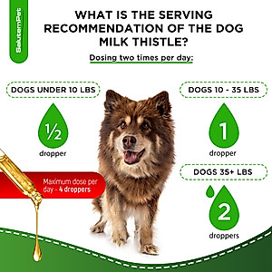 Milk Thistle for Dogs and Puppies | Liver Support for Dogs | Kidney Support for Dogs | Dog Liver Supplement | Herbal Composition Only | Attractive Bacon Flavor | 2 Oz