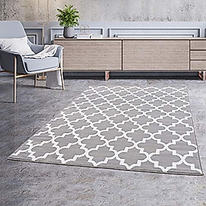Msrugs Area Rugs, 3x5 Trellis Collection Modern Gray White Area Rug, Contemporary Soft Cozy Carpet for Living Room and Bedroom