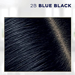 Clairol Root Touch-Up by Nice'n Easy Permanent Hair Dye, 2B Blue Black Hair Color, Pack of 1 (Pack of 2)