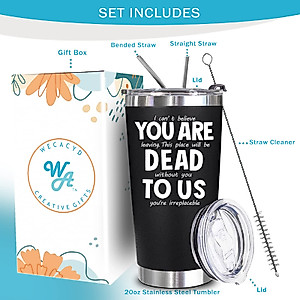 WECACYD Coworker Leaving Gifts - Christmas Gifts for Coworker Leaving Job Gifts - Going Away, Goodbye, Good Luck, New Job, Farewell, Retirement Gifts for Coworker, Boss, Friend - 20oz Tumbler