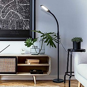 Brightech Vista 3-in-1 Desk Lamp for Living Rooms, LED Floor Lamp, Tall Lamp with Remote Control, Work Light for Documents, Standing Lamp with Flexible & Adjustable Gooseneck for Reading and Crafts