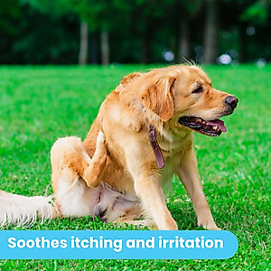 Pawtitas Itch Soother Dog Balm Relief from itching Skin, Flaky, Dry Coat, Hotspot, Rash and Damaged Skin Made with Organic Almond and Goldenseal Provide Instant Calmness for Your Travel Size 0.15 OZ
