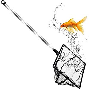 Grepol-V Fish Net for Fish Tank, Fine Mesh Aqurium Net with 9-24 Inch Stainless Steel Long Handle, Extendable Fishing Tank Net for Fish Shrimp Tank, Pond, Creek (4 inch)