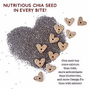 Einstein Pets Everydays Backyard BBQ Crunchy Heart Shaped Treats, All Natural Protein Packed Organic Dog and Puppy Baked Biscuit Training Treat, Pork, Pineapple Honey Recipe with CHIA 6, Ounce Bag