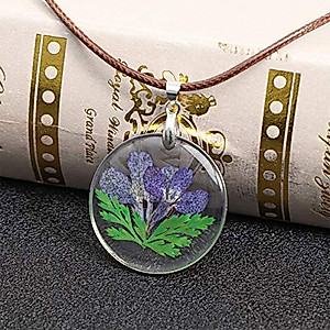 Holibanna 1pc Women Flower Necklace Specimens Pendant Necklace Sweater Chain Dried Daisy Necklace Daisy Jewelry for Women Flower Nacklace Pressed Flower Jewelry A Necklace Miss Dried Flowers