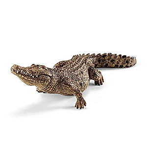 Schleich Wild Life Realistic Australian Animal Toy Set - 5-Piece Outback Animals Playset with Crocodile, Kangaroo, Koala, Platypus, and Wombat, Farm Zoo Play for Boys and Girls, Gift for Kids Age 3+