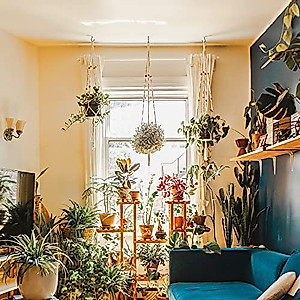 RELBRO 50 Pcs Screw Hooks, 1-1/4 Inch Bronze Cup Hooks Screw in Mug Hooks Metal Heavy Duty Screw Wood Wall Ceiling Hooks Plant Hooks Indoor Outdoor for Utensils Baskets Lights Wreaths