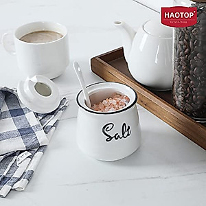 HAOTOP Farmhouse Porcelain Salt Bowl with Lid and Spoon 12oz,Easy to Clean (White)