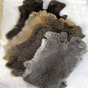 Assorted Natural Rabbit Skin Fur Pelts Grade Craft with Sewing Quality Leather 10" by 14" with Sewing Quality Leather for Decoration, Cat/Dog Toys, Sewing, or Crafting Fur Hide (5PCS Bulk)