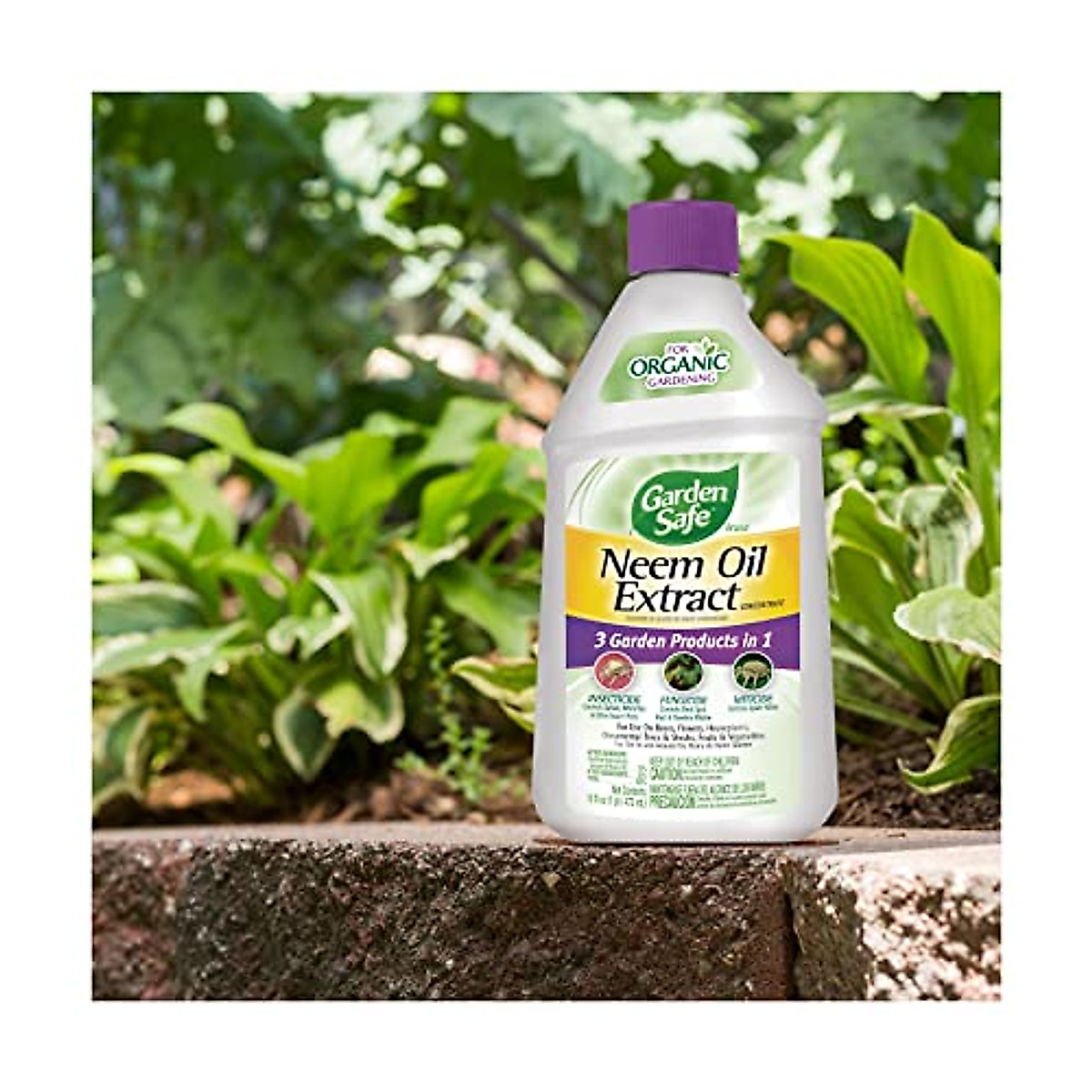 Garden Safe Neem Oil, 10 Fl Oz,  Case Pack of 6